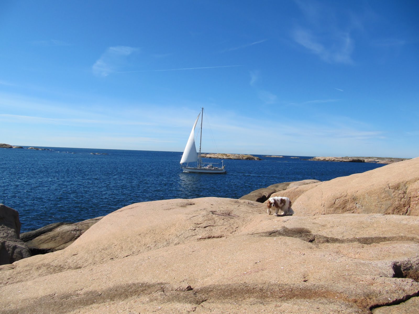 Det mysiga Heestrand/Hamburgsund- En pärla i Bohuslän: Härliga höstdagar