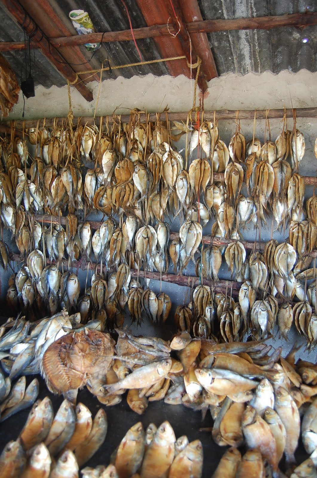 Pelas Áfricas: Zé e Caetana cap. I: De Luabo a Chinde - delta do Zambeze