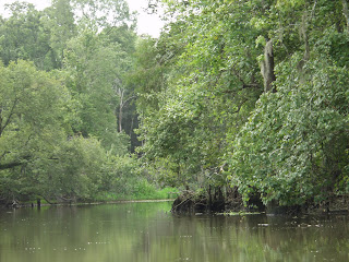 On the road with the free and easy riders!: Garfish Rodeo 2009
