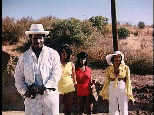 Your Stupid Minds: Dolemite (1975)