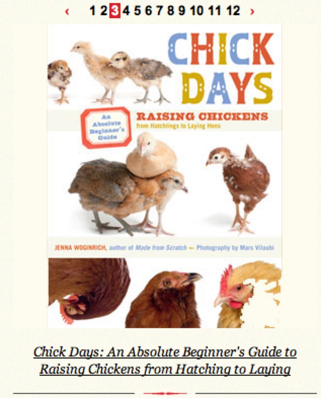 Sarasota CLUCK: Public Radio Food Show Profiles Backyard Chickens