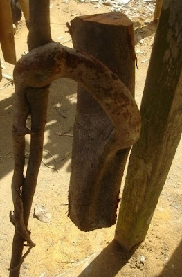 SENI RAHSIA ALAM: Kayu Pegang Kayu Penunduk