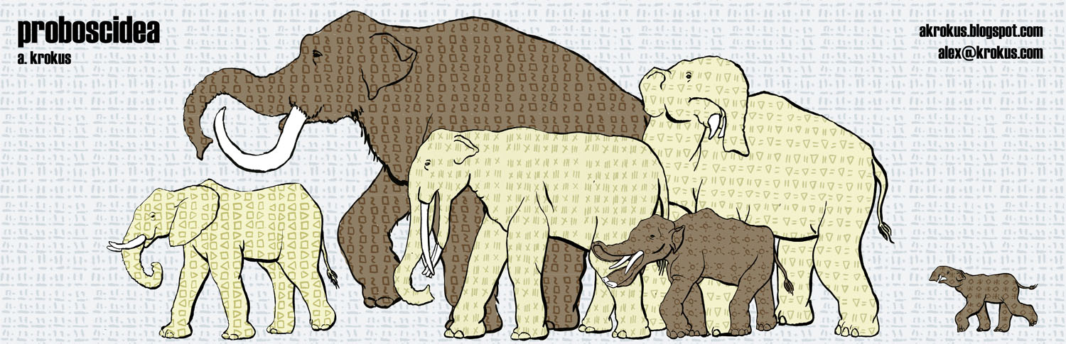 A Thorough Heap: Oh, Proboscideans!