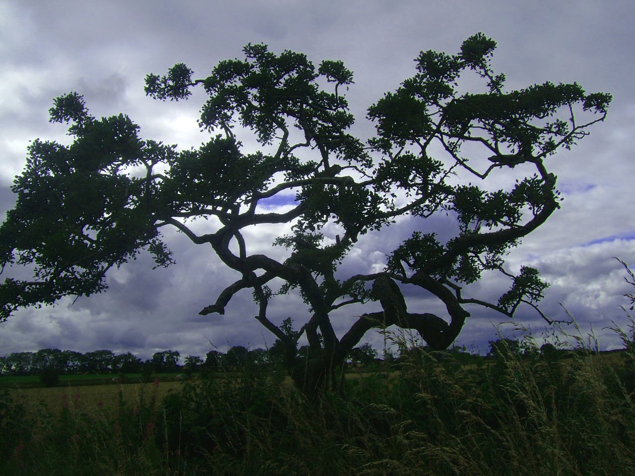 Walking The Line: August 2010