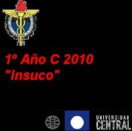 1 año c Insuco Dp 1: El insuco HOY