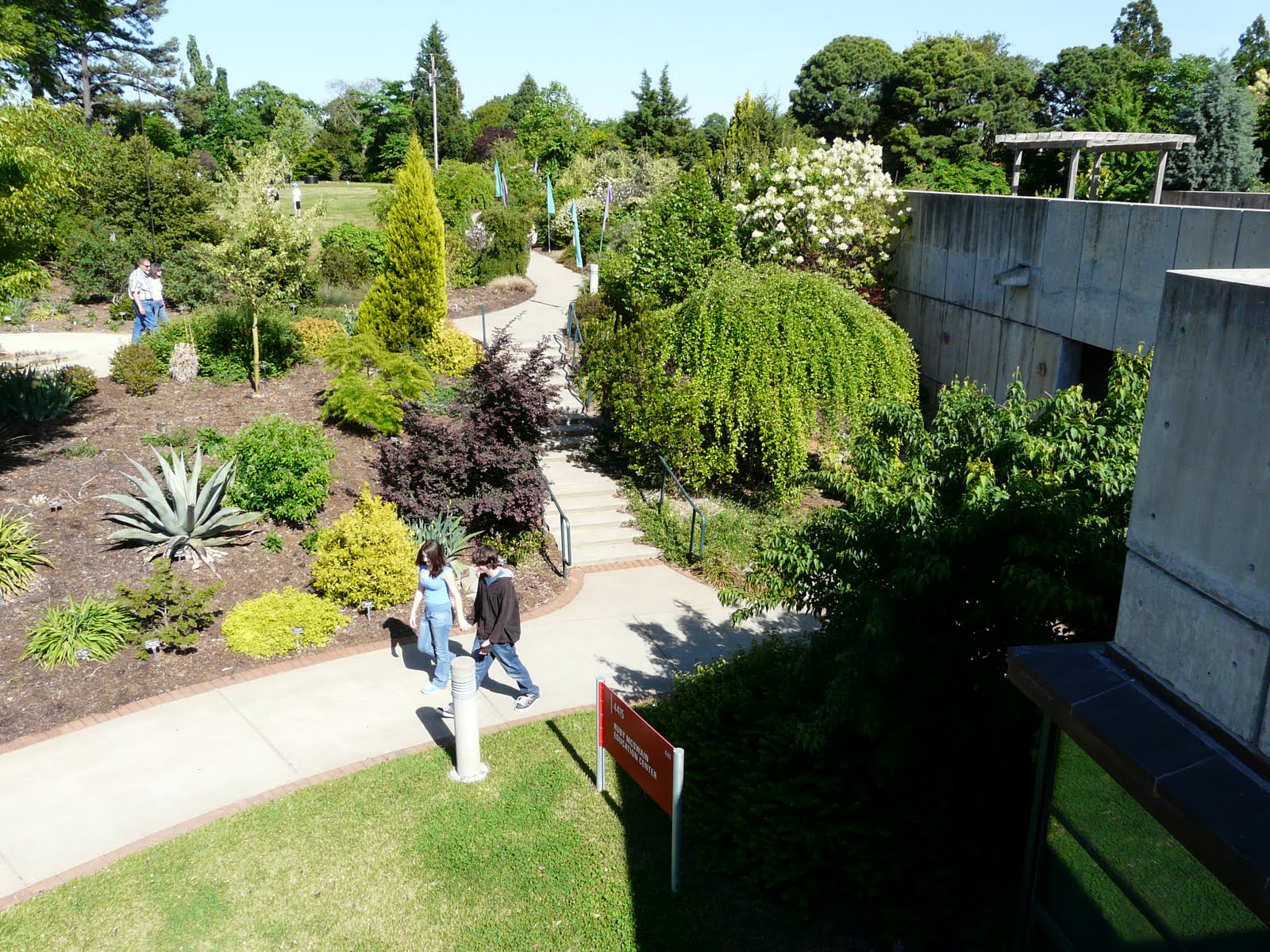Tuxedo-moon: J.C. Raulston Arboretum
