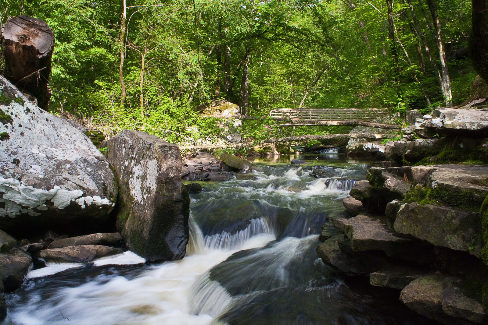 Waterfall Hunting: 5-2 Cedar Creek