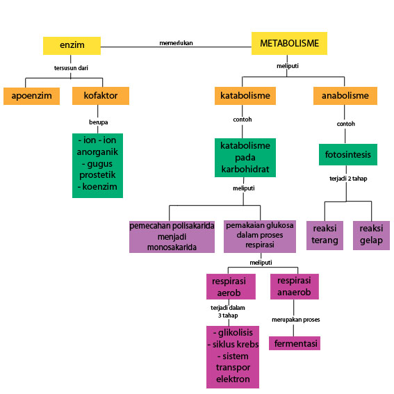 BIONICLE: Metabolisme