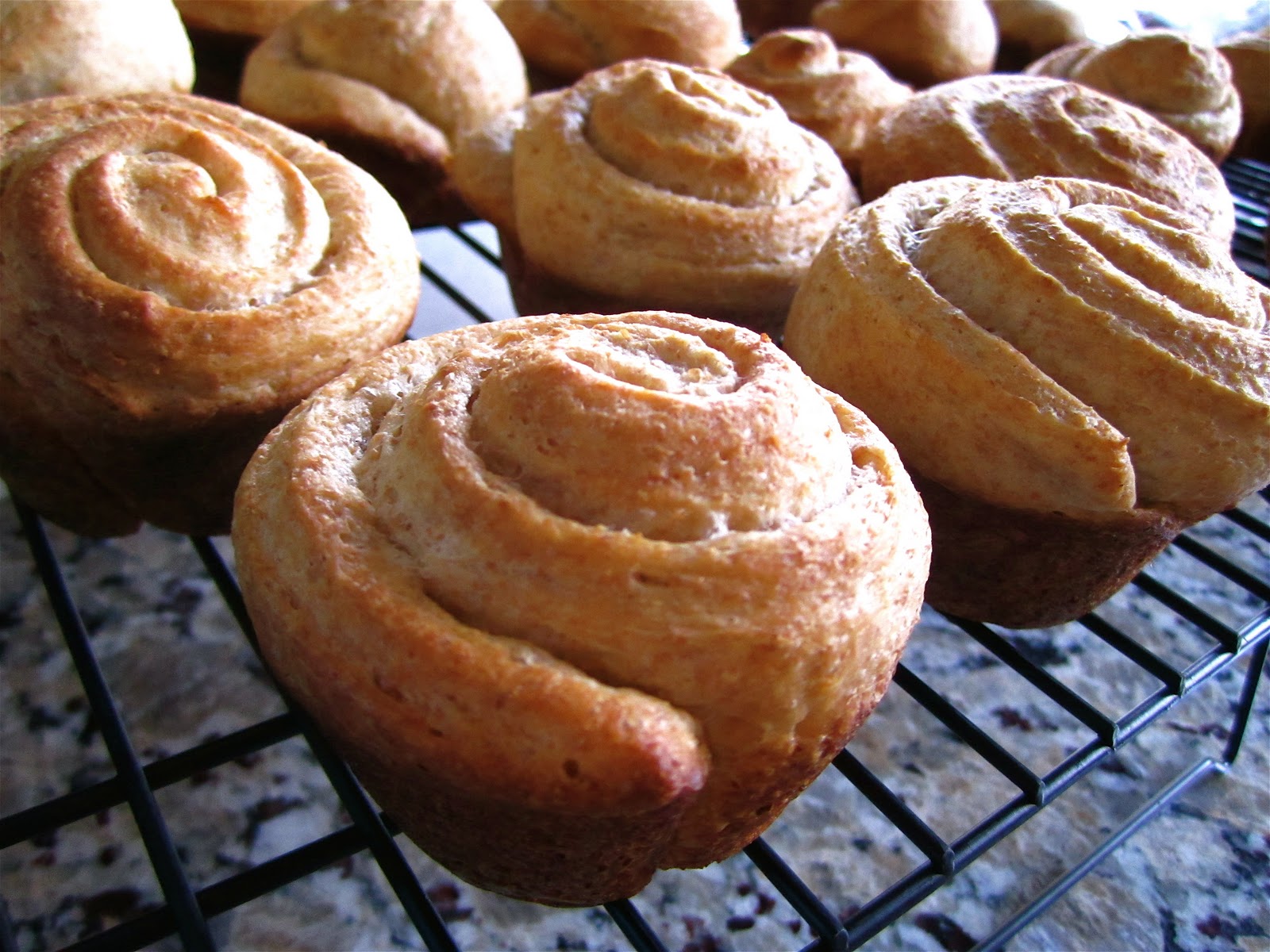 Stephanie Cooks: Light Wheat Rolls