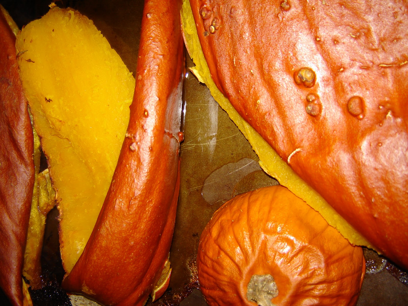 The Pioneer Cookbook: How To Cook With Fresh Pumpkin