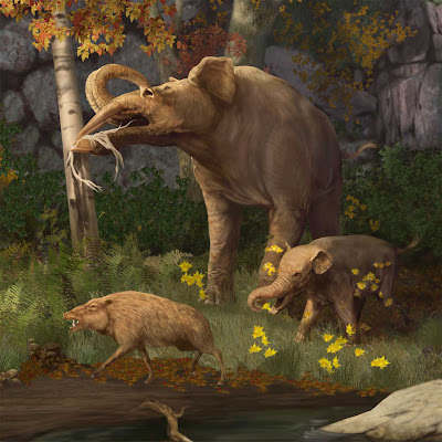 Eating Chilean: March 2009