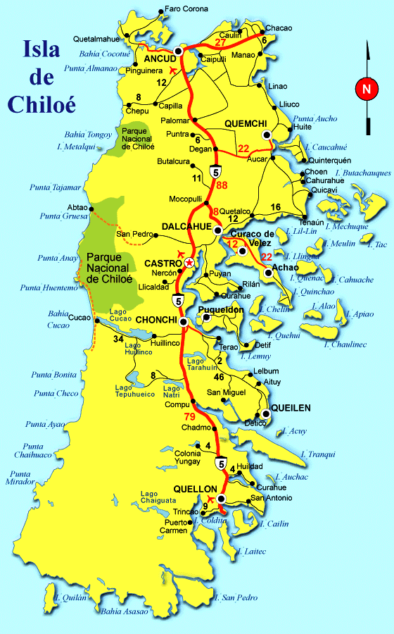 Eating Chilean: Chiloe’s Giant Garlic/Ajo Chilote