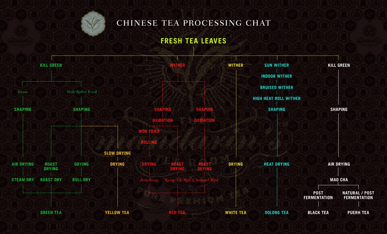 Chinese Tea Processing Chart
