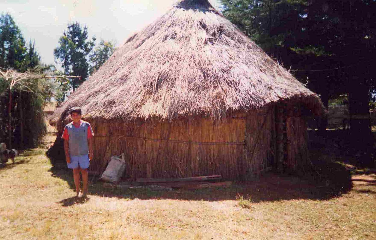 Informacion Sobre Indigenas De La Epoca Colonial En Chile: 3 ...