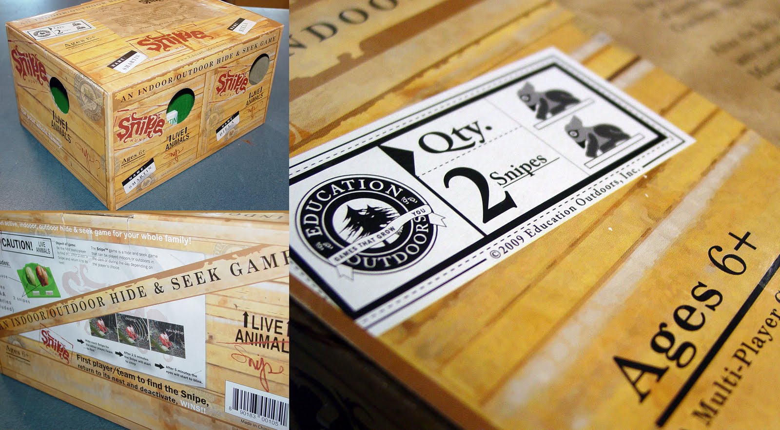 Camping Games: New Products