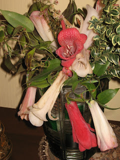 GSE Team 5440 - Adventures in Chile: National Flower of Chile: Copihue