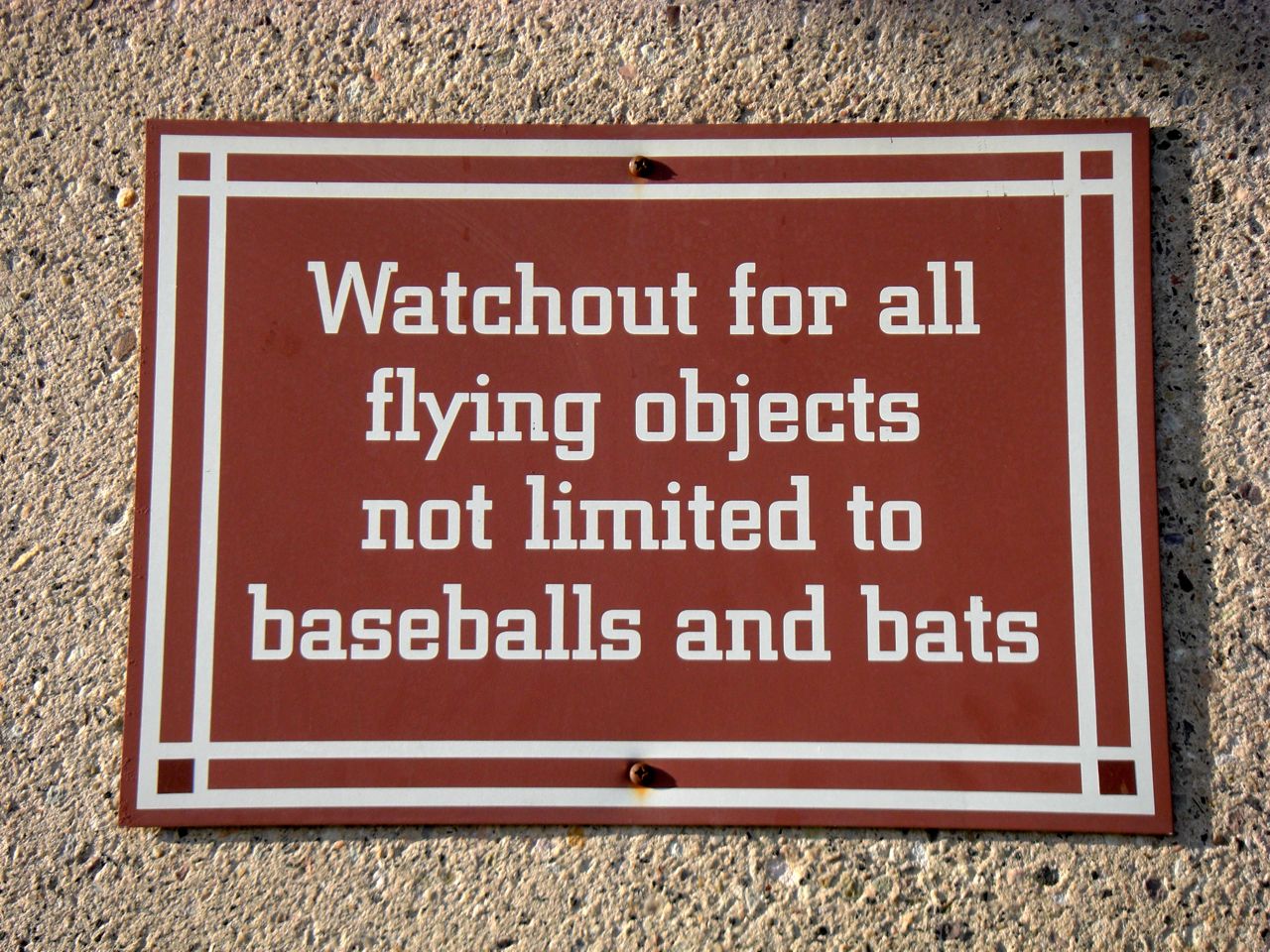 Animals on the Road: Watch Out for Flying Objects