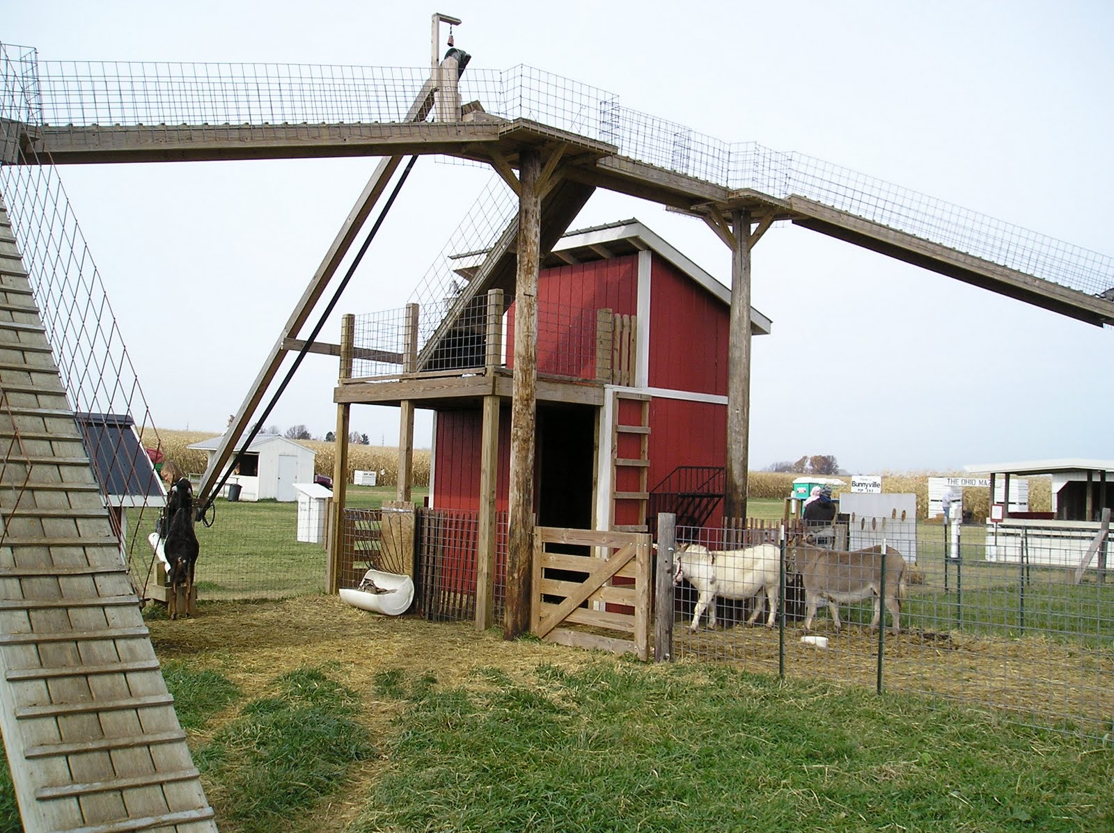 Ramseyer Farms Fall Fun Festival - Wooster, Ohio