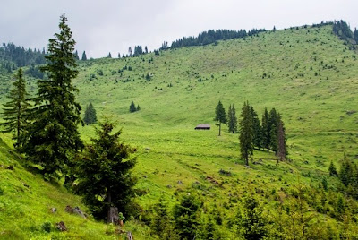 Ana Deveanu: Ciungetu-Prejbeni-Lacul Petrimanu-Curmatura Oltetului ...