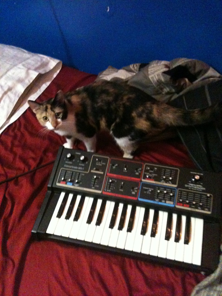 MATRIXSYNTH: Synth Cat