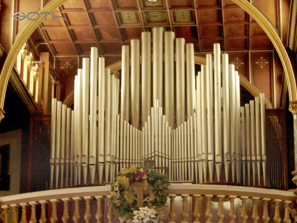 Cada Vez Más: EL ORGANO