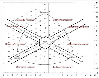 Mo Cuishle: Somatotyp