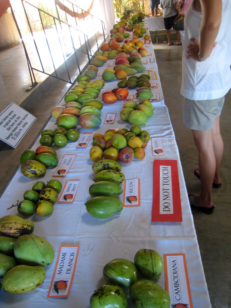 Life Is Short- So Are My Pants: Mango Melee