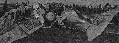 nhungdoicanh: Bonney Gull