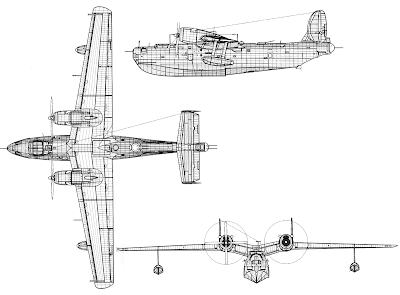 nhungdoicanh: Beriev Be-6 Madge
