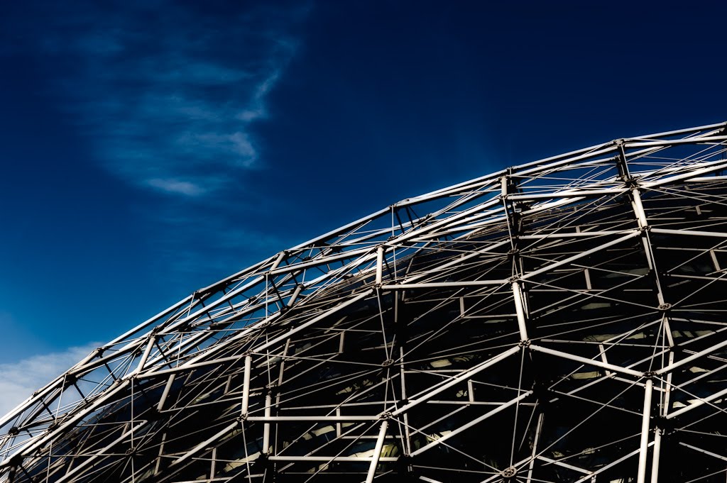 Scenes of St. Louis: Climatron Detail #3, MOBOT