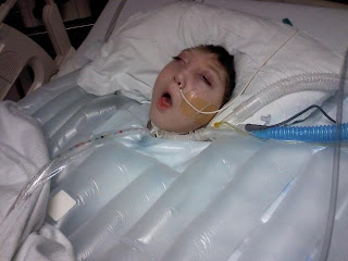 Benjamin McKay Orton: THE BEAR HUGGER