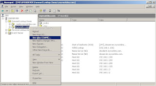 Domain Network Systems (DNS) Information: DNS Alias (CNAME) resource record