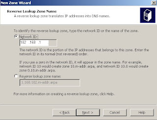 Domain Network Systems (DNS) Information: import reverselookup zone ...