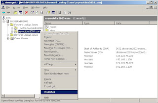 Domain Network Systems (DNS) Information: Change SOA Record