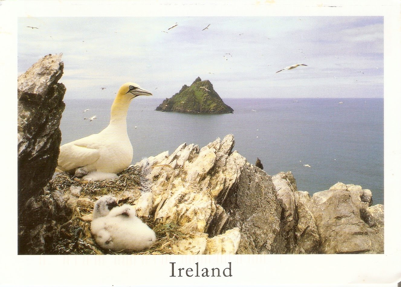 My UNESCO World Heritage Postcards