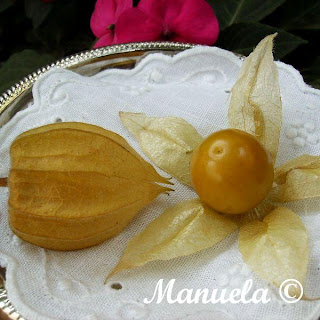 * Delícias e Companhia *: Clafoutis de physalis (ou tomates de capucho)