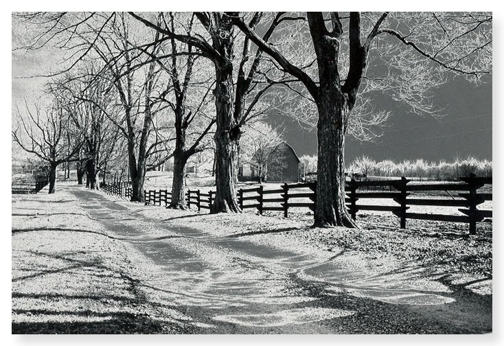 MHS Photography Journal- Sadie Spauls: Examples of Solarization (not my ...