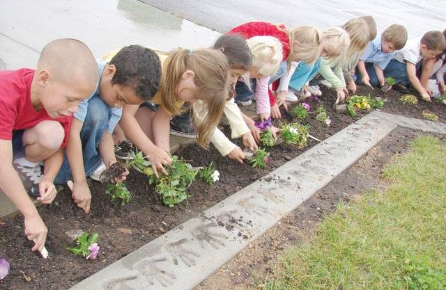 The Green Feminine Hygiene Queen: Give Back to Mother Earth