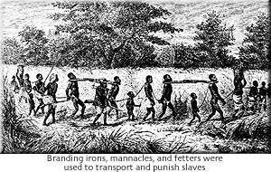 Mangrove Roots Chronicles: Slavery in Belize