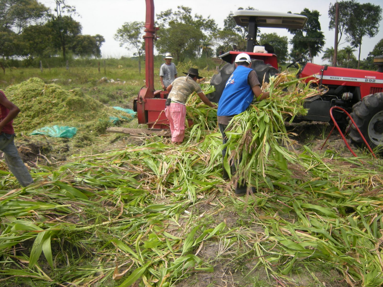 Red Juntos Monterrey: ENSILAJE EN PROYECTO MUNICIPAL DE INICIATIVAS ...