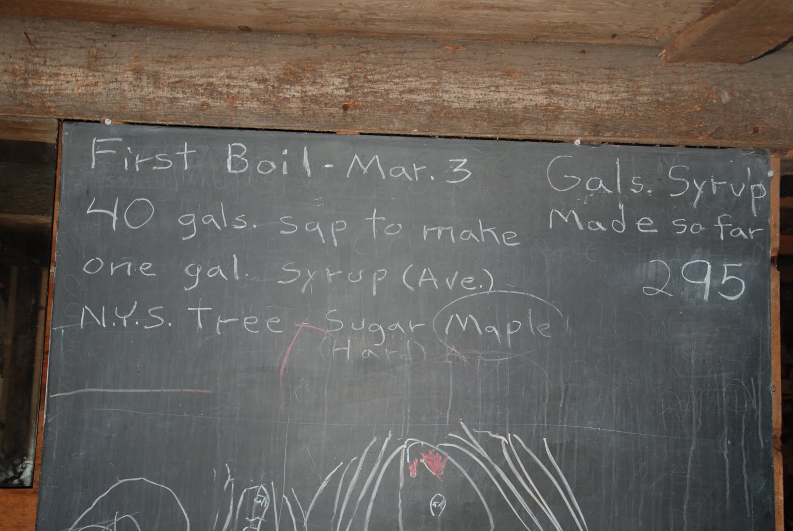 Mission Musings: MAPLE SYRUP TIME