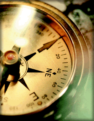 LAS ALAS DE W.A.F.: BRÚJULAS ROTAS