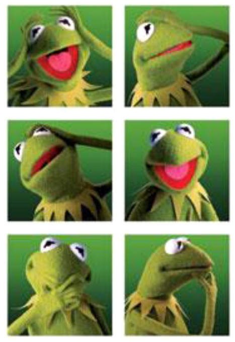 Caricaturas rana rene - Imagui