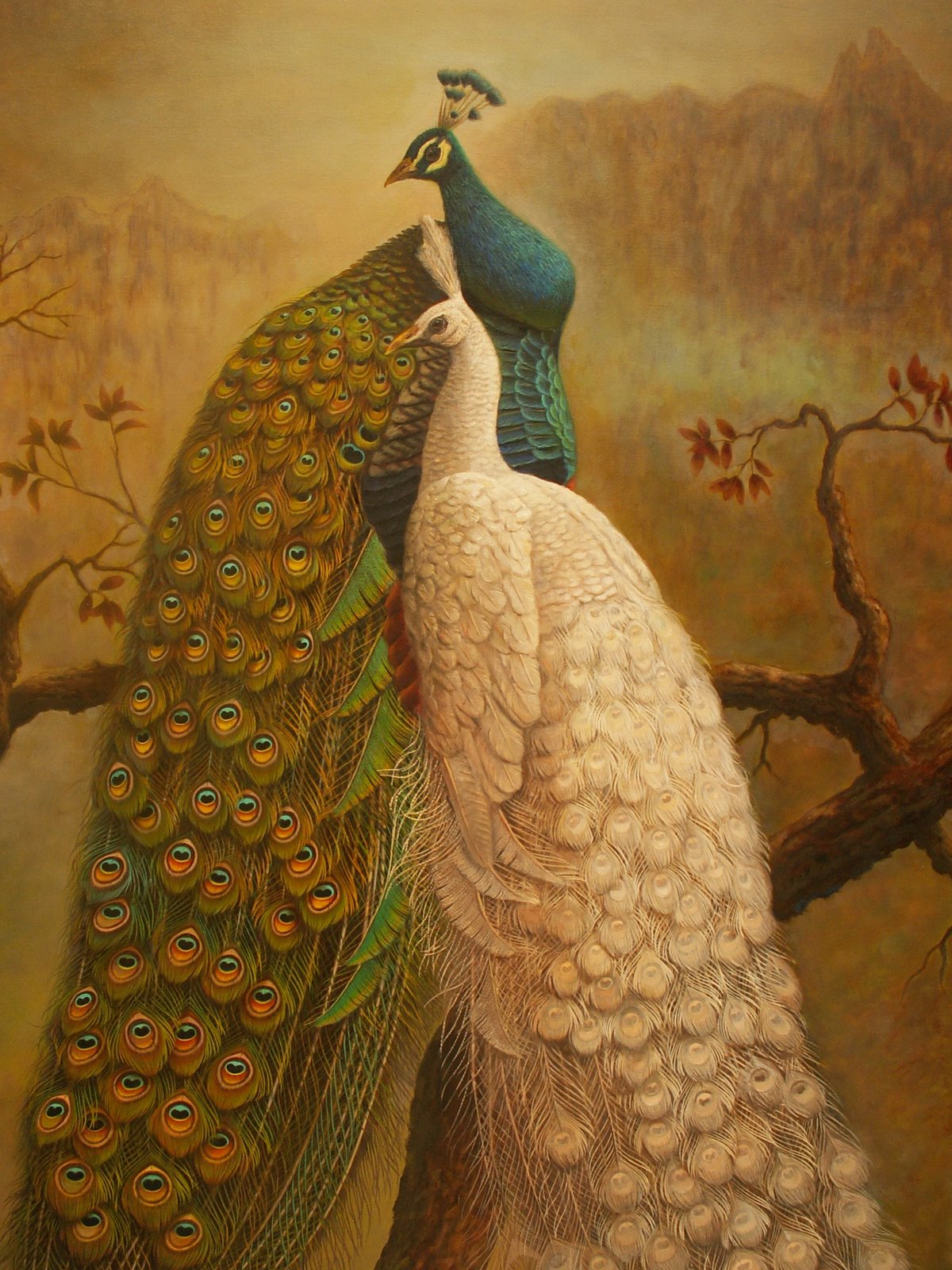 just a little inspiration: merak adalah binatang keberuntungan menurut ...