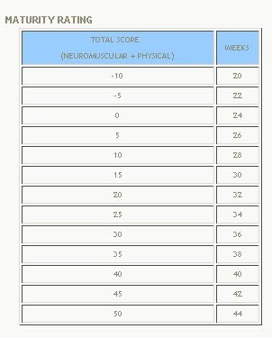 Lettering "W": A Doctor's Guide to The New Ballard Score