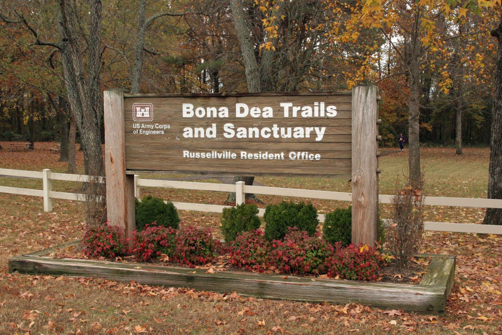 Bona Dea Sanctuary Nature Notes: Bona Dea Update