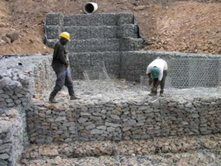 Altamira Garden: A Quick & Dirty Gabion