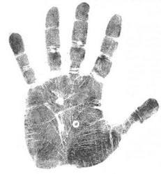 DACTILOSCOPIA FORENSE: DACTILOSCOPIA FORENSE