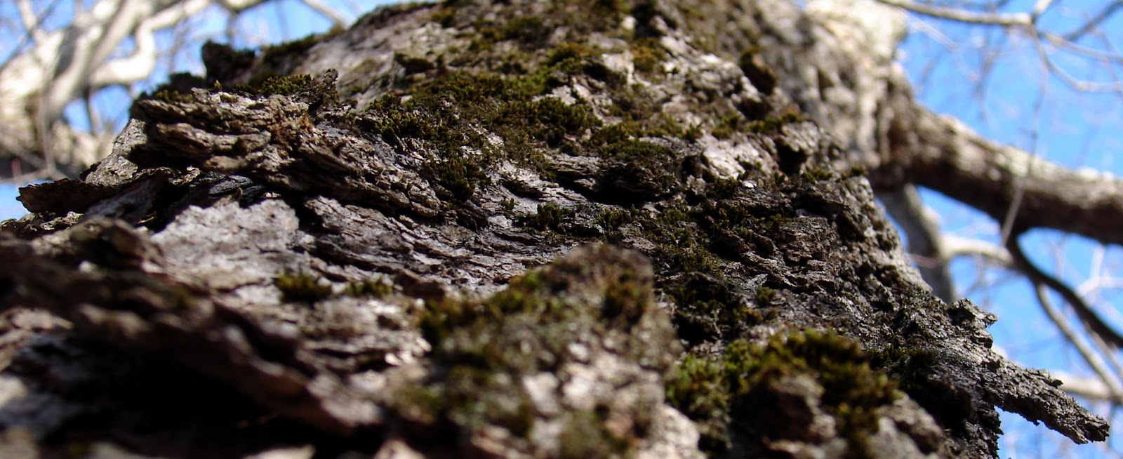 Abigail F.: Shape and Form, Line, and Texture