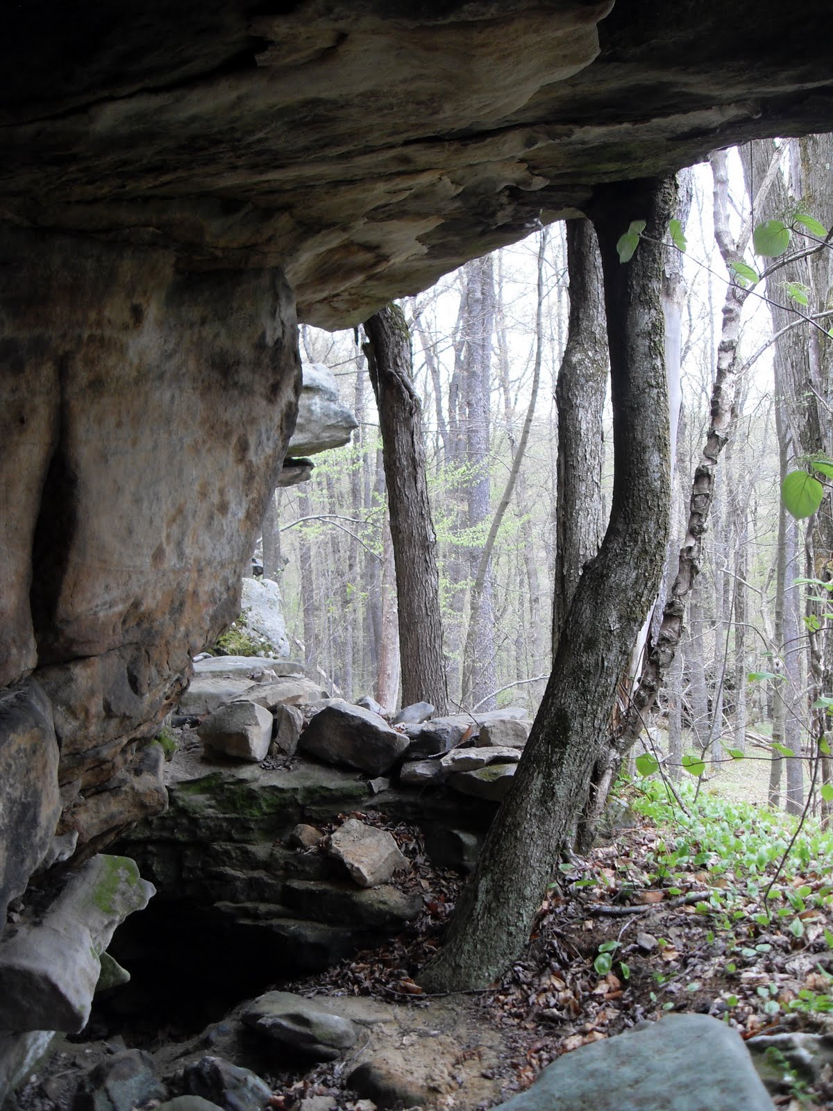 The Allegheny Journal: A Backwoods Adventure Guide: Watson Run Caves